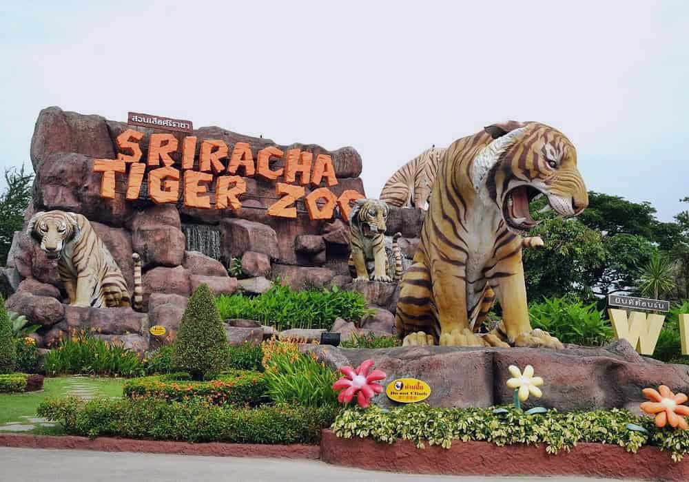 Why Visiting the Iconic Sriracha Tiger Zoo Is a Must in Thailand